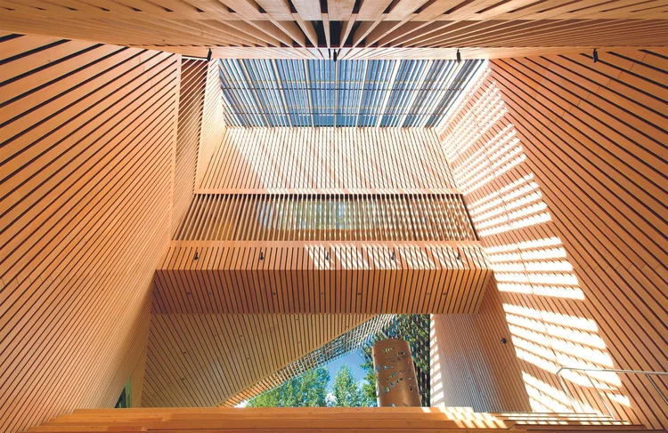 Biophilic Architecture without Plants: Invisible Design for Wellbeing ...
