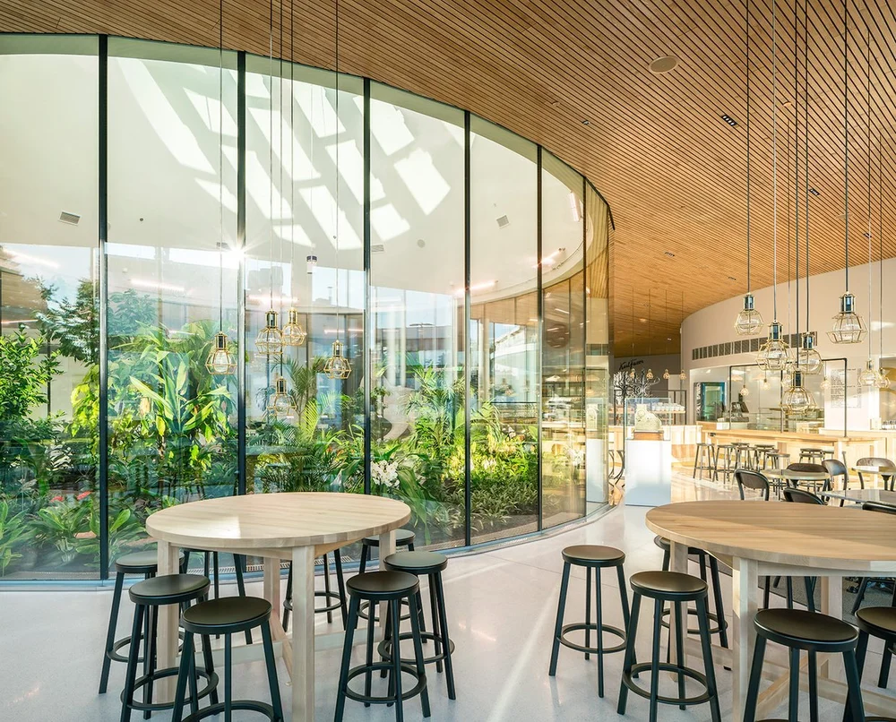 Architecture Tailored for the Deaf and Hard-of-Hearing Community ...