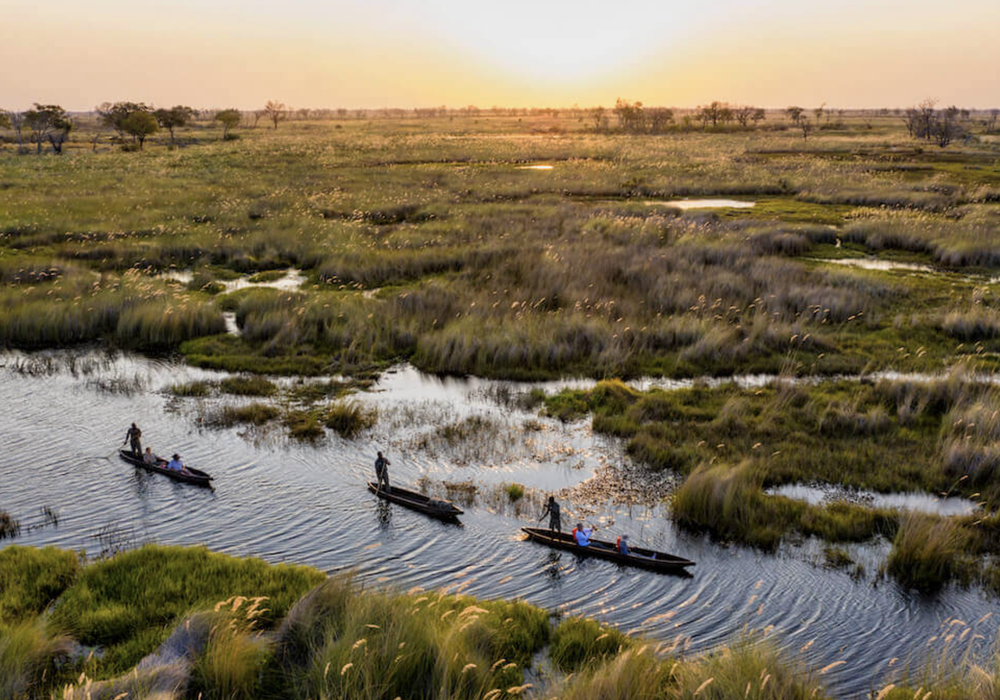 Botswana: Africa’s Ultimate Safari Destination? — African Firefly