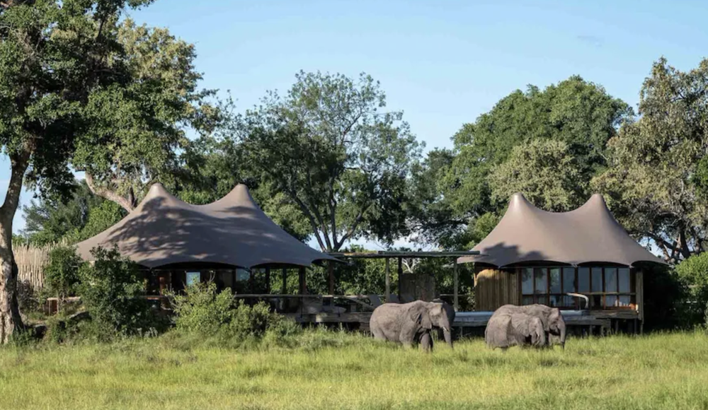 Botswana: Africa’s Ultimate Safari Destination? — African Firefly