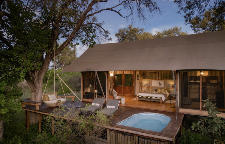 Botswana: Africa’s Ultimate Safari Destination? — African Firefly