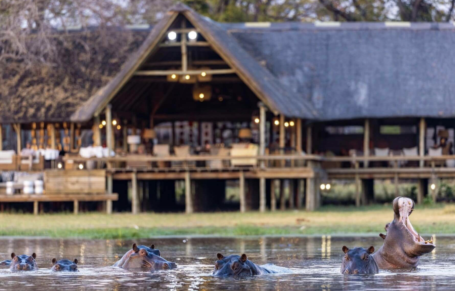 Botswana: Africa’s Ultimate Safari Destination? — African Firefly