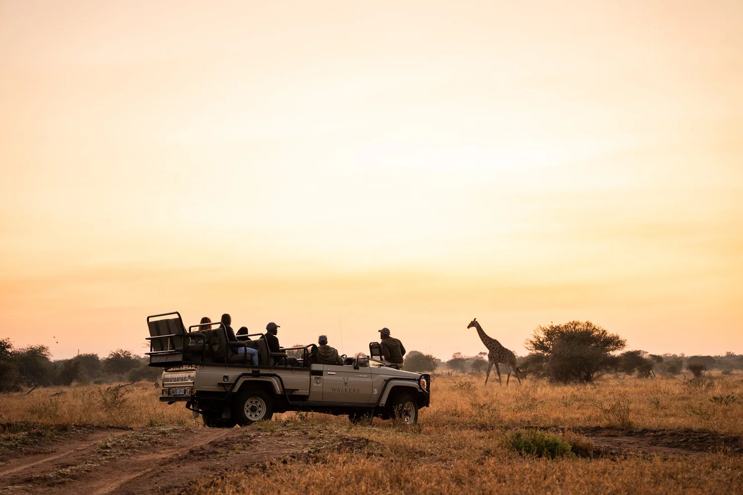 African Firefly Safari Planners