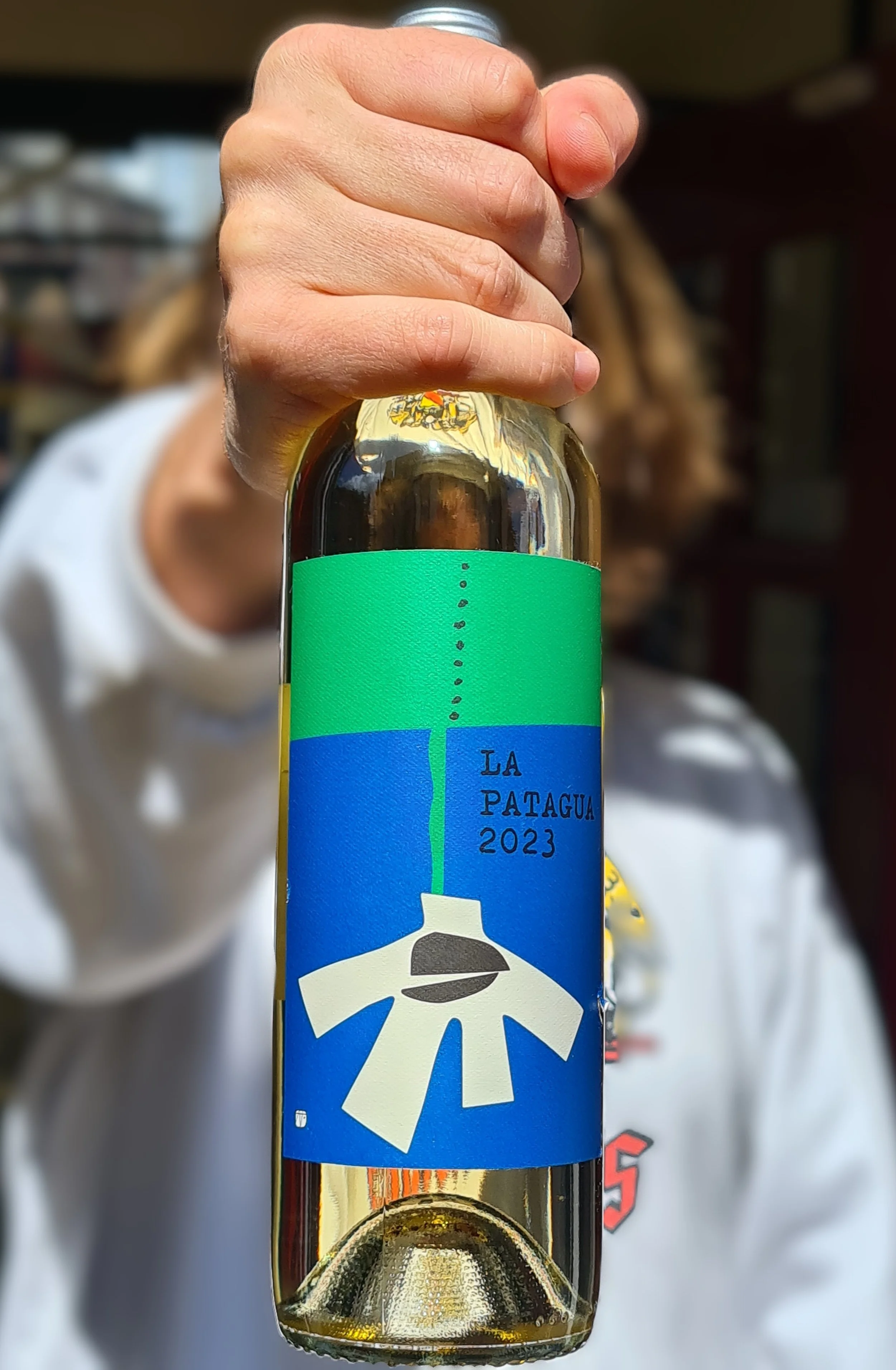 La Patagua, 2023 White Natural Wine — Wine Boy