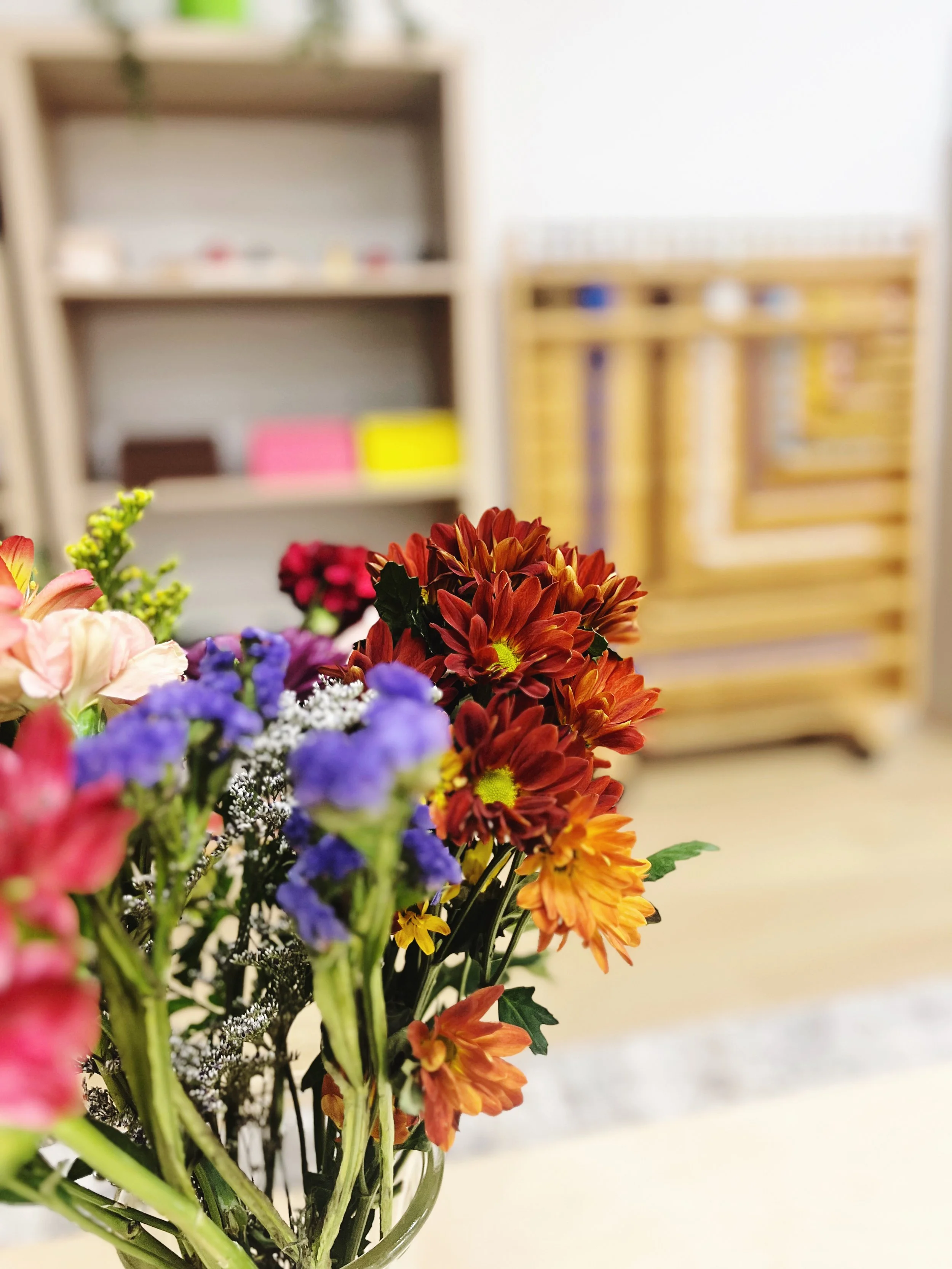 Admission Process — Blossom Montessori School
