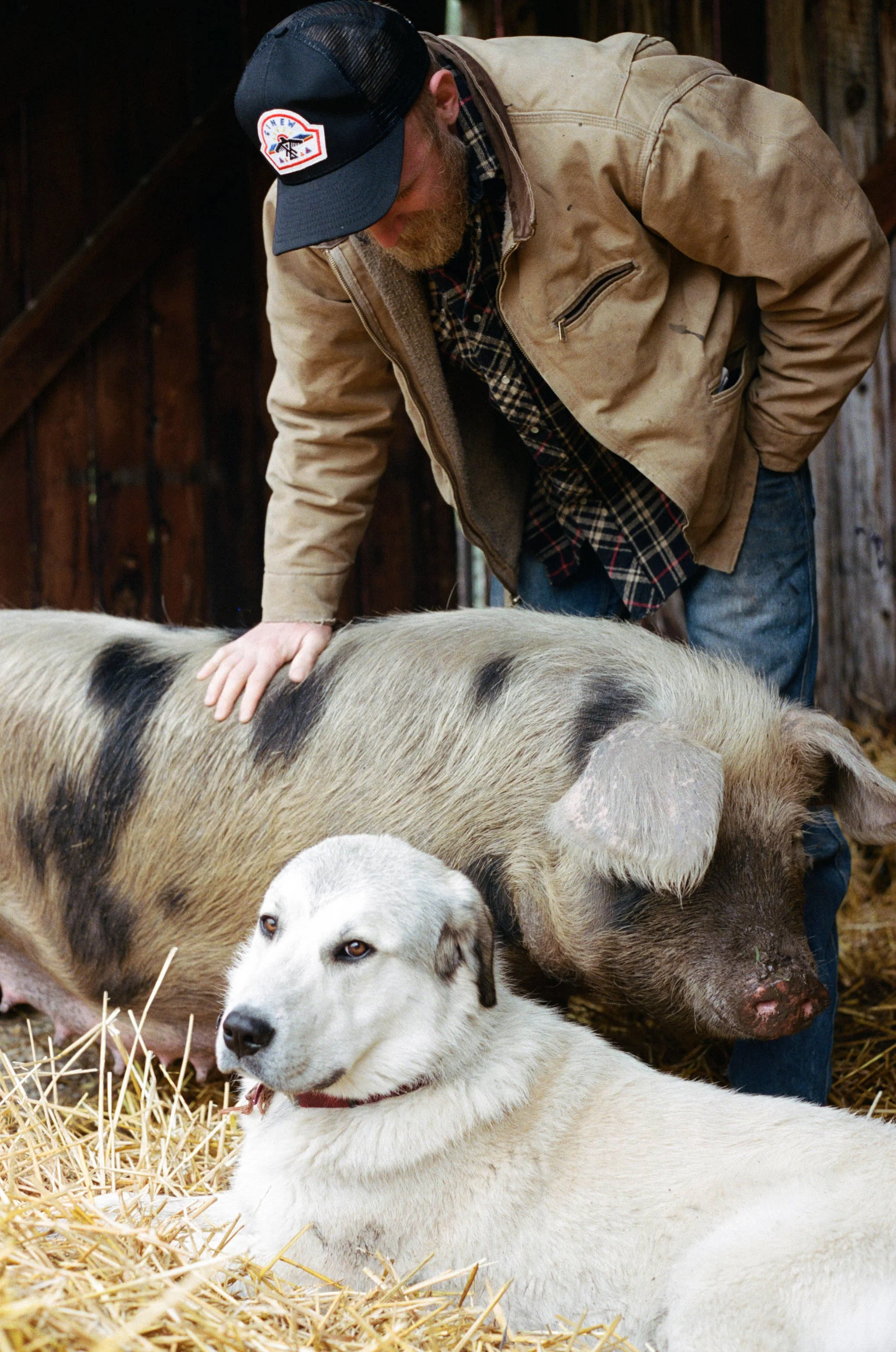 About | First-Generation — Y Knot Farm & Ranch