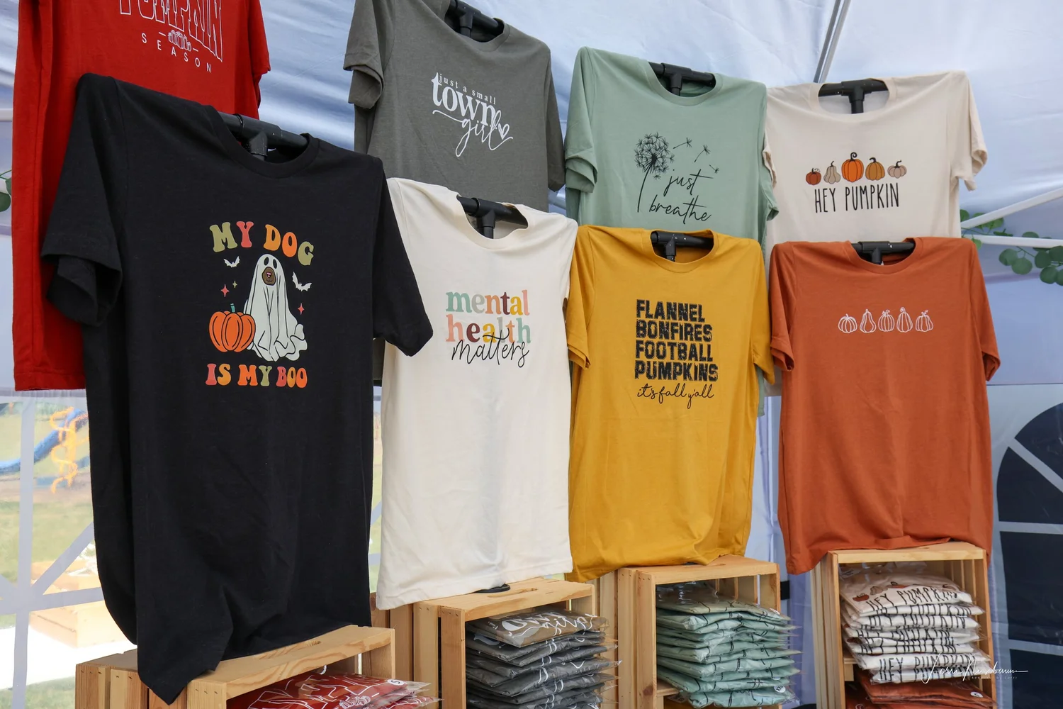Art & Craft Market — Morton Pumpkin Festival