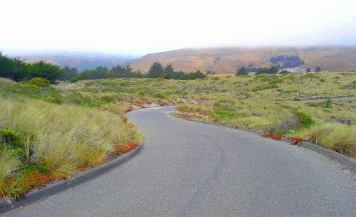 Camping Near Dillon Beach: 5 Best Campgrounds — CampChimp - AI for Camping