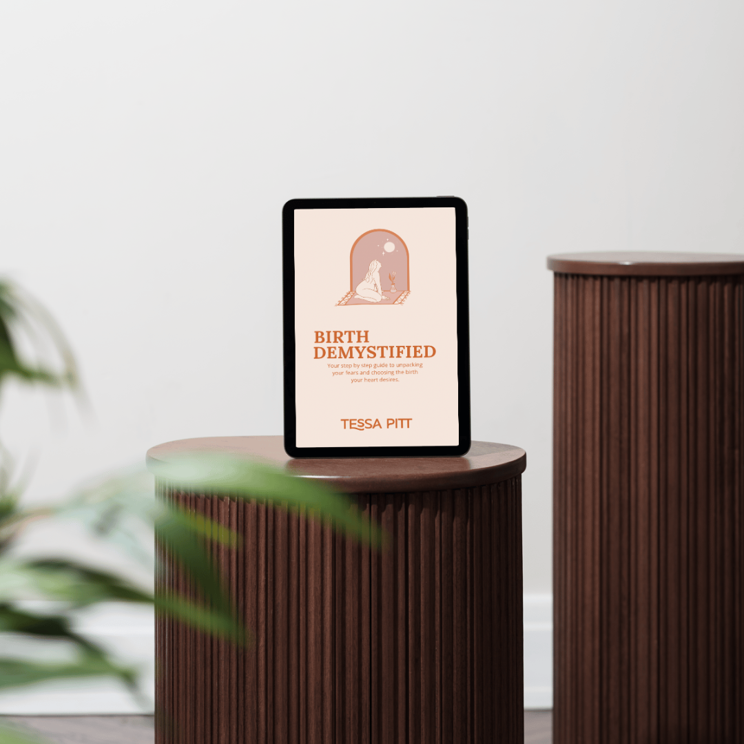 Birth Demystified Guide — TESSA PITT