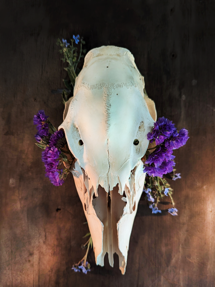 Style Guide — Axis Larp