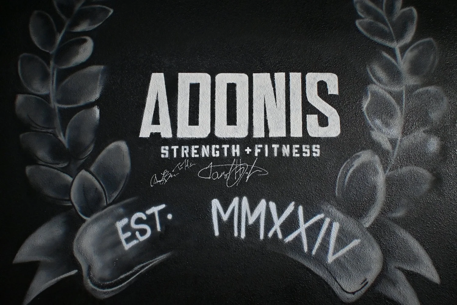Adonis Strength & Fitness