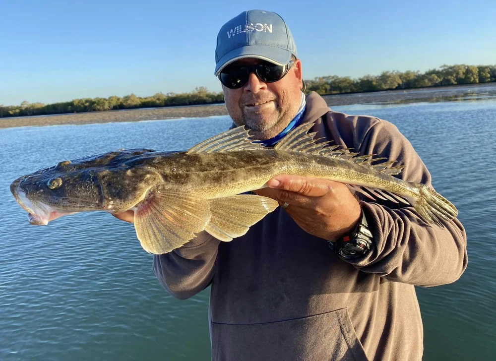 Species of the Month — Gold Coast Sportfishing Club