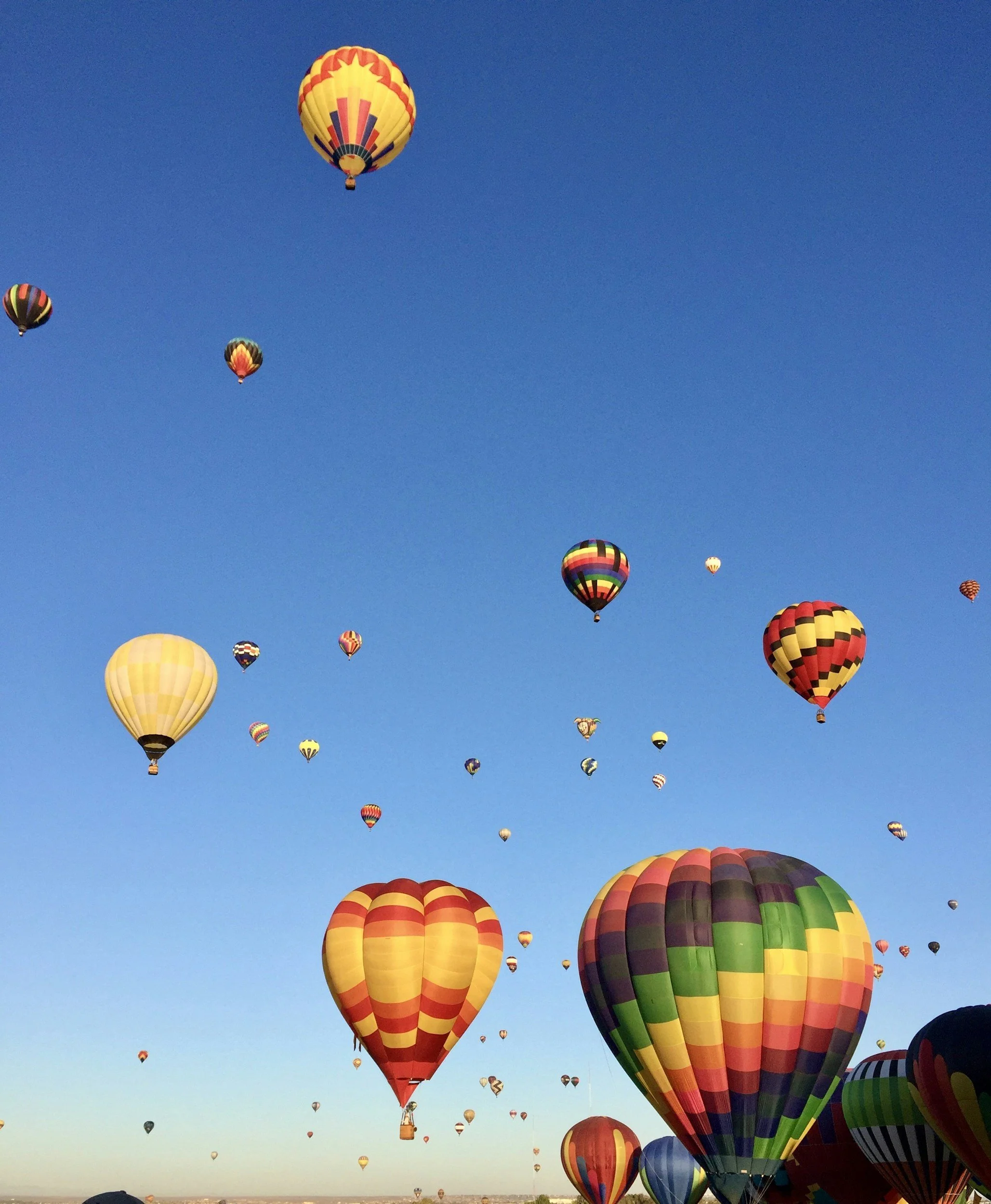 SHIELD foundry | Premier Web, Mobile, and Solutions Development | Technical Support, Content ...