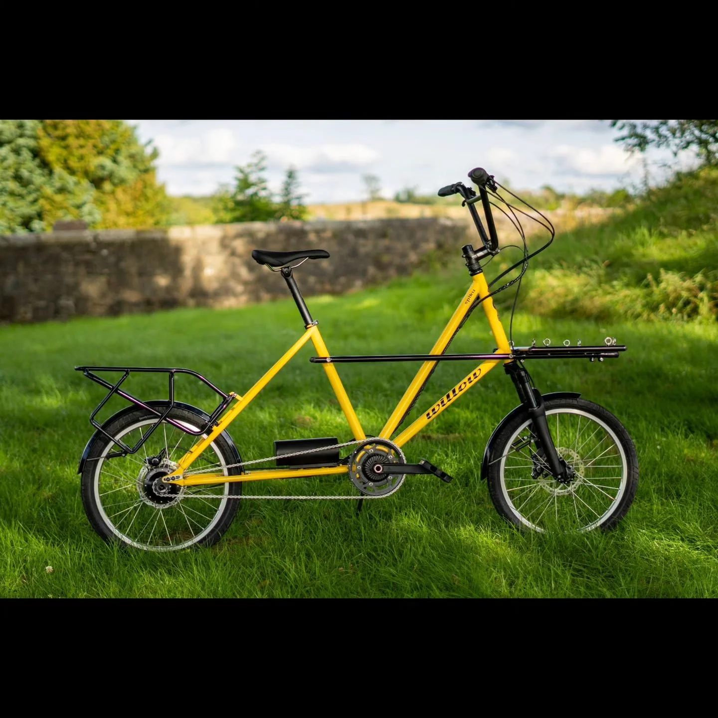 willow bike