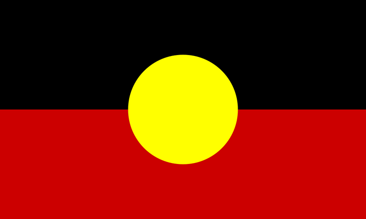 Mobile Health Clinics Australia