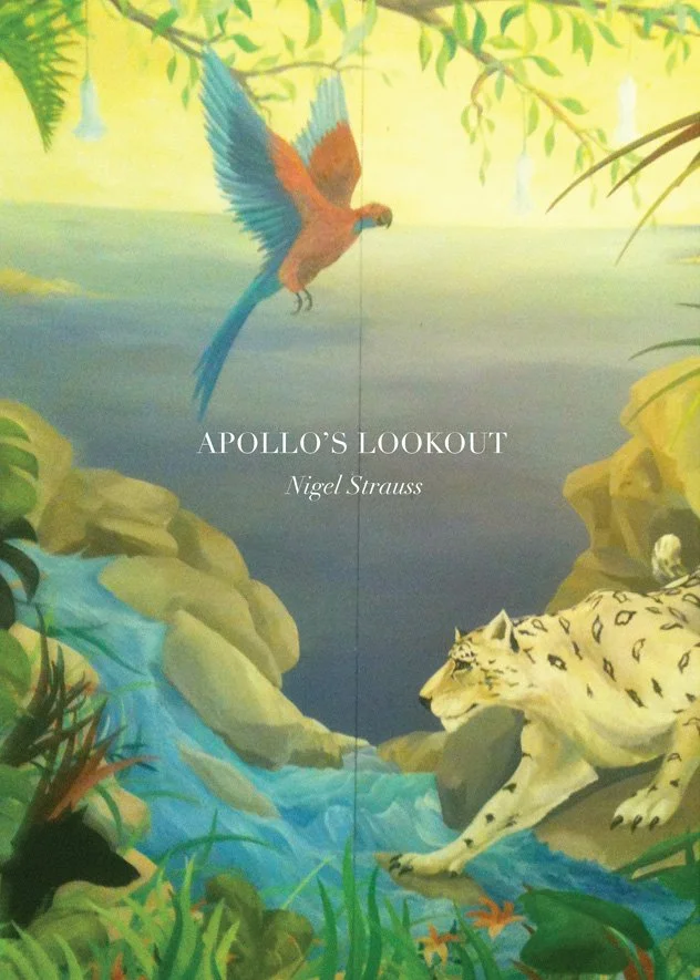 Books — Dr Nigel Strauss