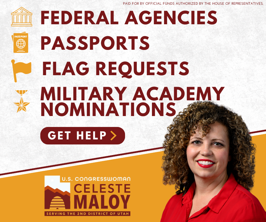 Digital Services — Amplify