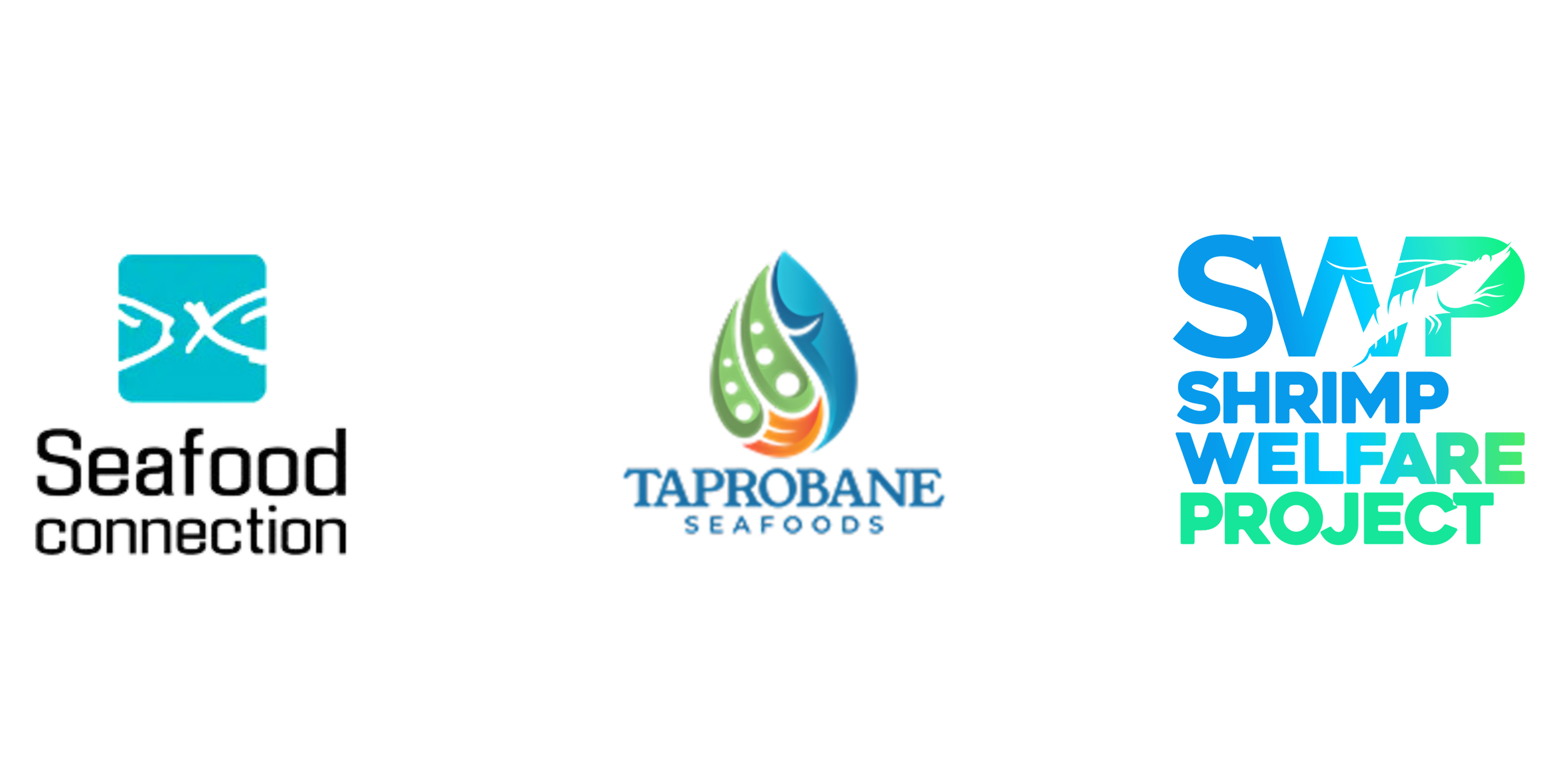 Shrimp Welfare Project Partners with Taprobane Seafoods and Seafood ...