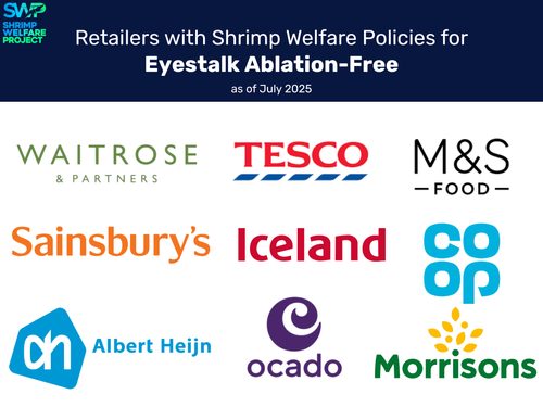 What is eyestalk ablation? — Shrimp Welfare Project