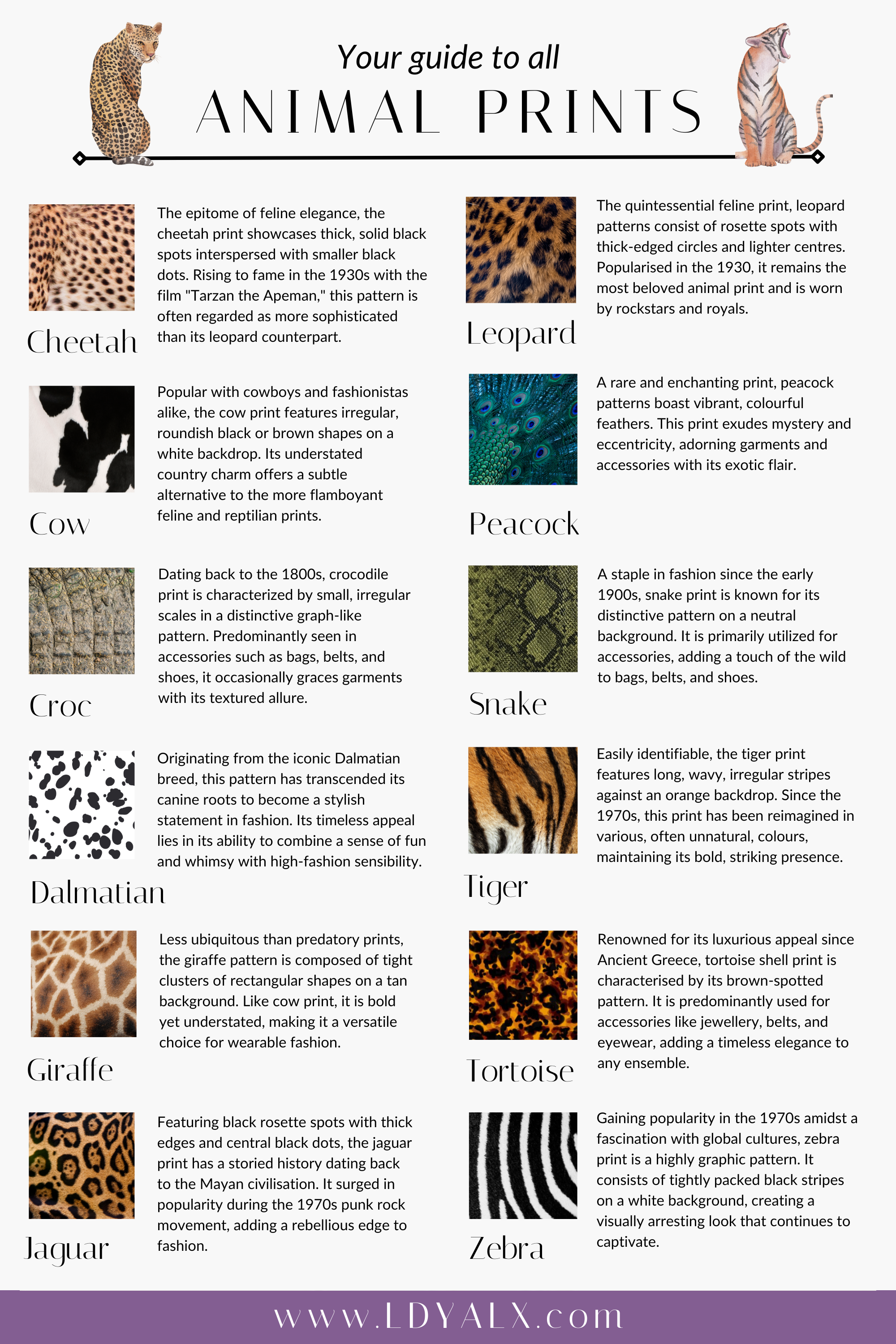 Different Type Of Animal Prints