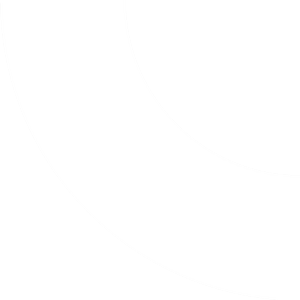 White Stores — 036 Group Company Limited