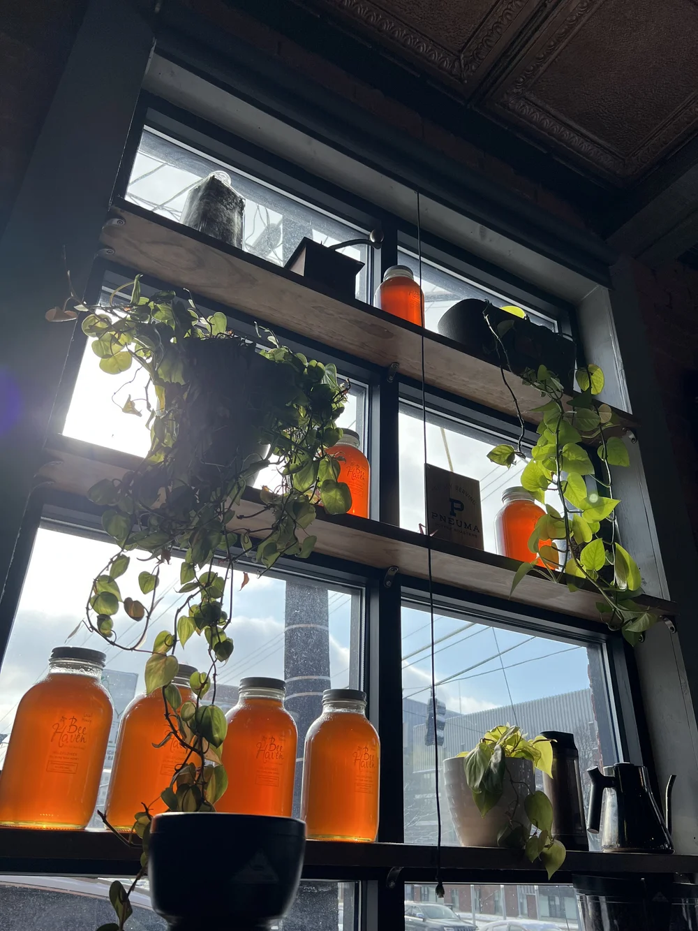 Contact — The 86 Coffee Bar