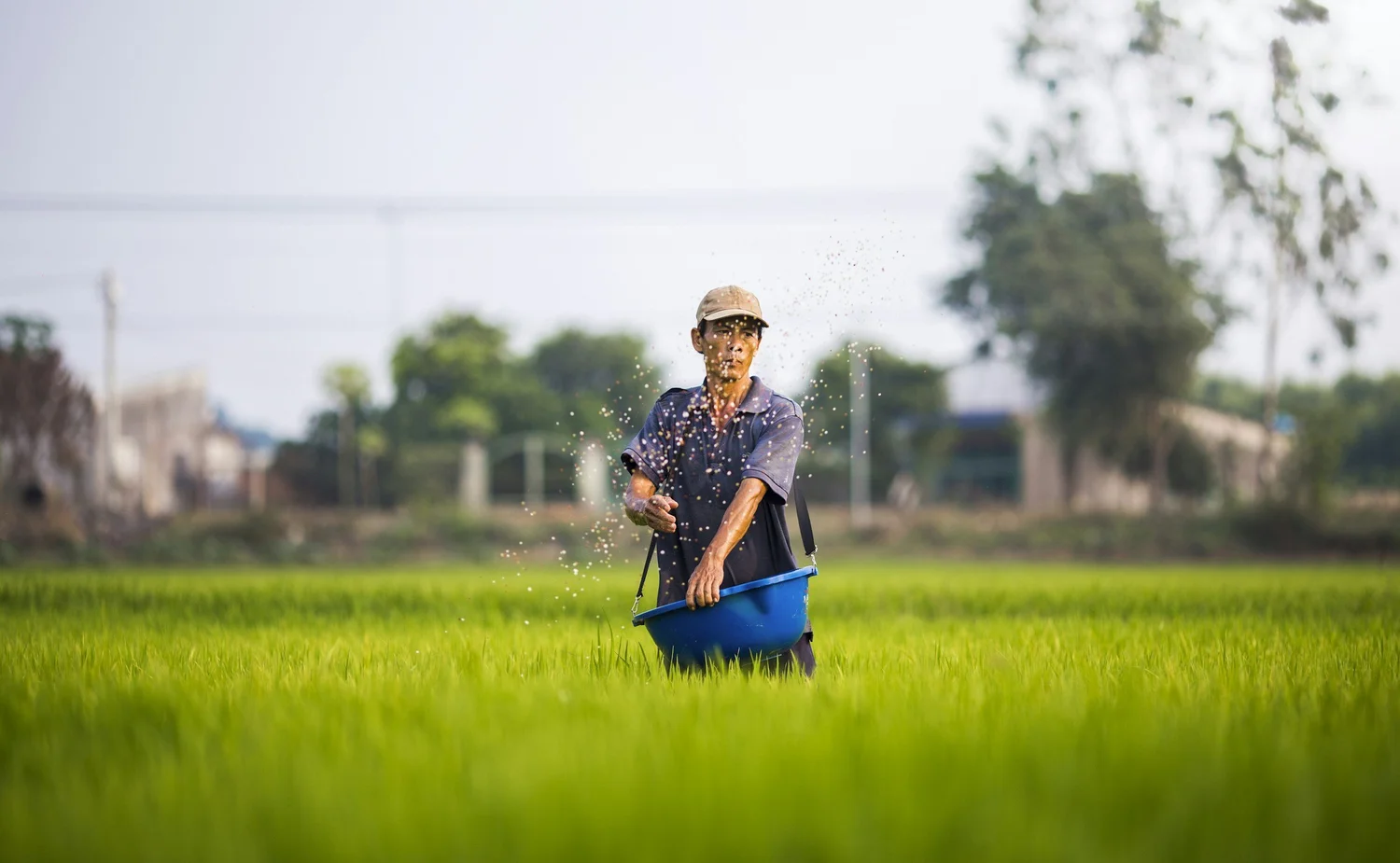 The Parable of the Sower (Luke 8:4-8) — Pastor Jason Elder