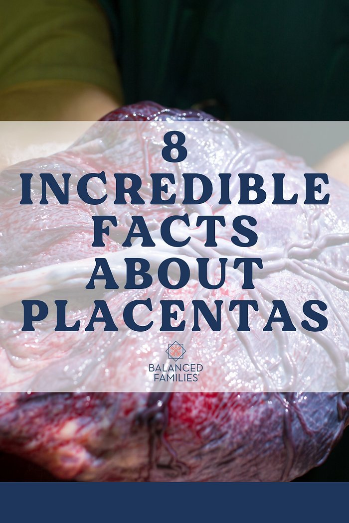 8 Incredible Facts You Never Knew About Placentas — Balanced Families