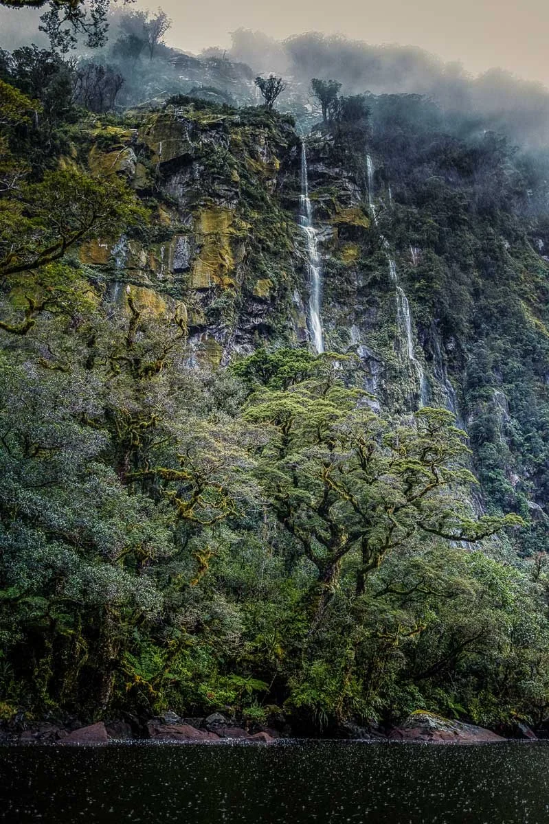 Fiordland Heritage Waterfalls — Porter Gallery