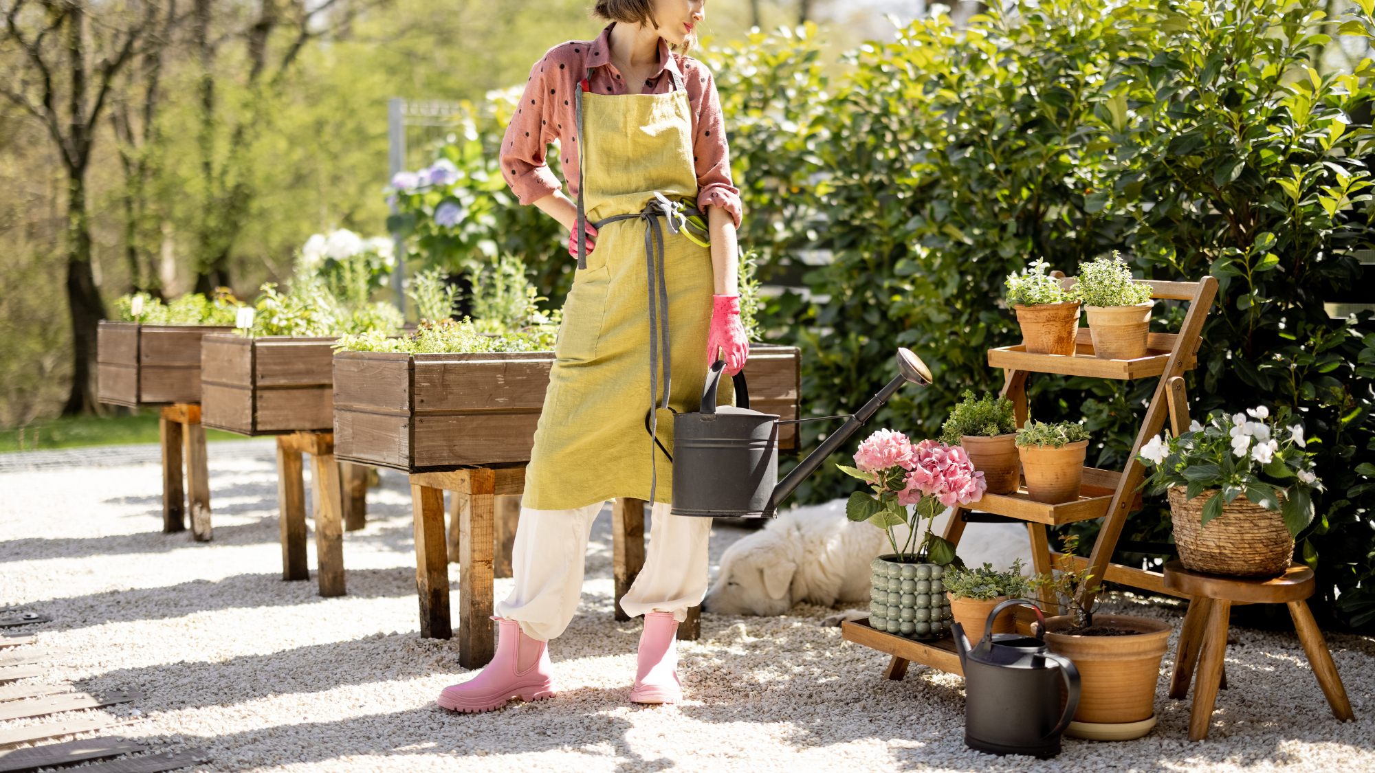 Companion Planting Guide: Best Practices and Effective Pairings ...