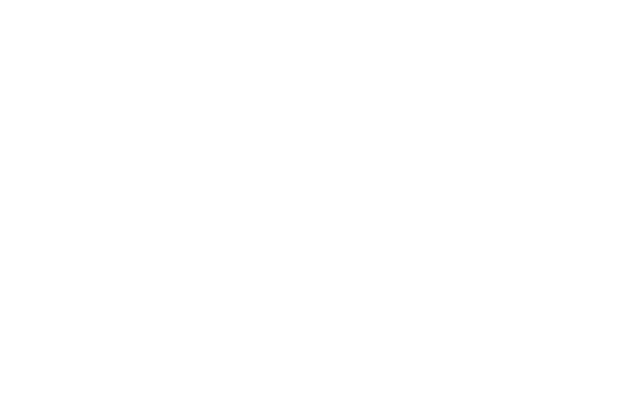 Our Team — SWTC