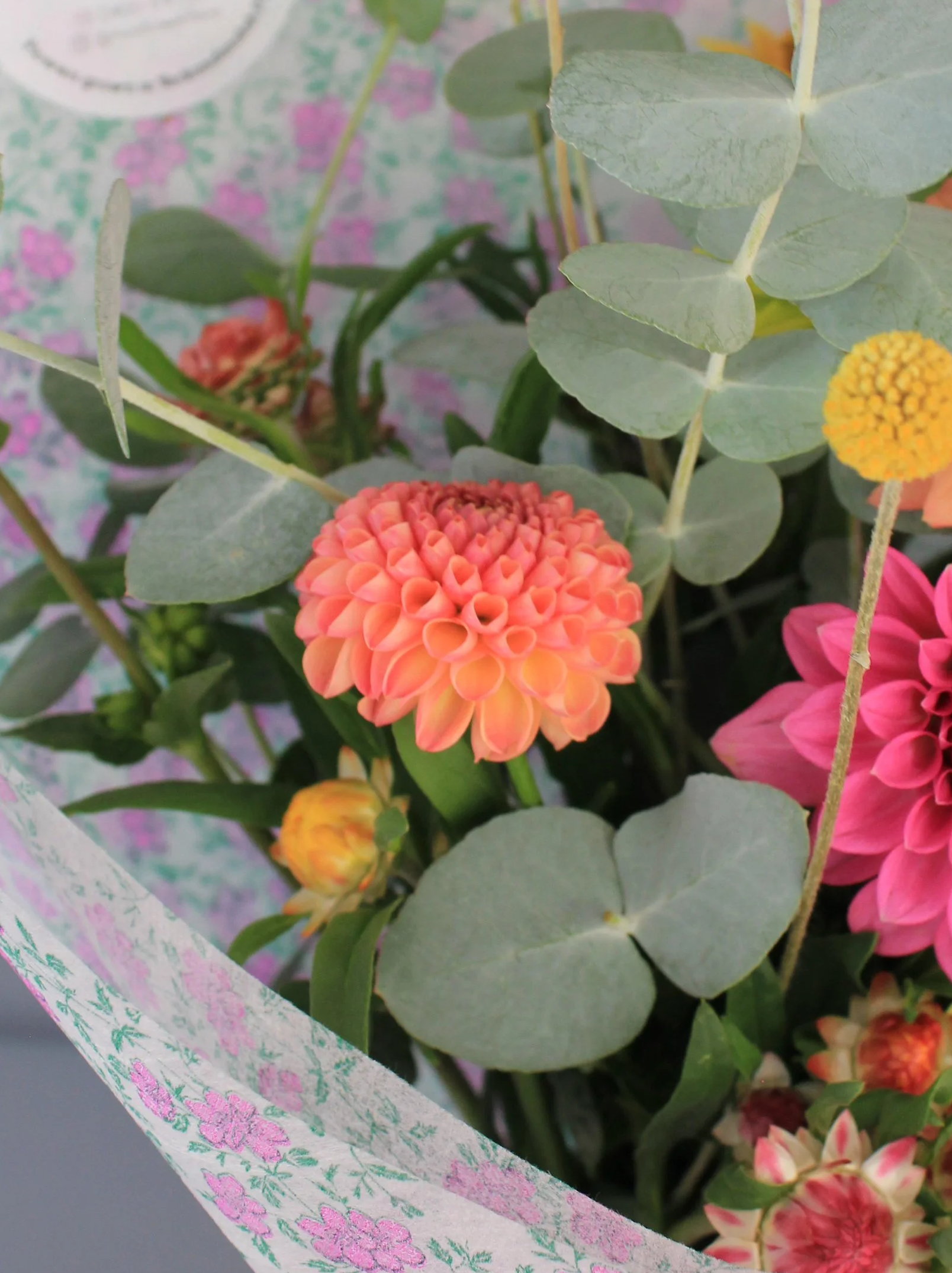 Shop | Fresh Blooms, Seeds, Chrysanthemum Plants, Dahlia Plants and ...
