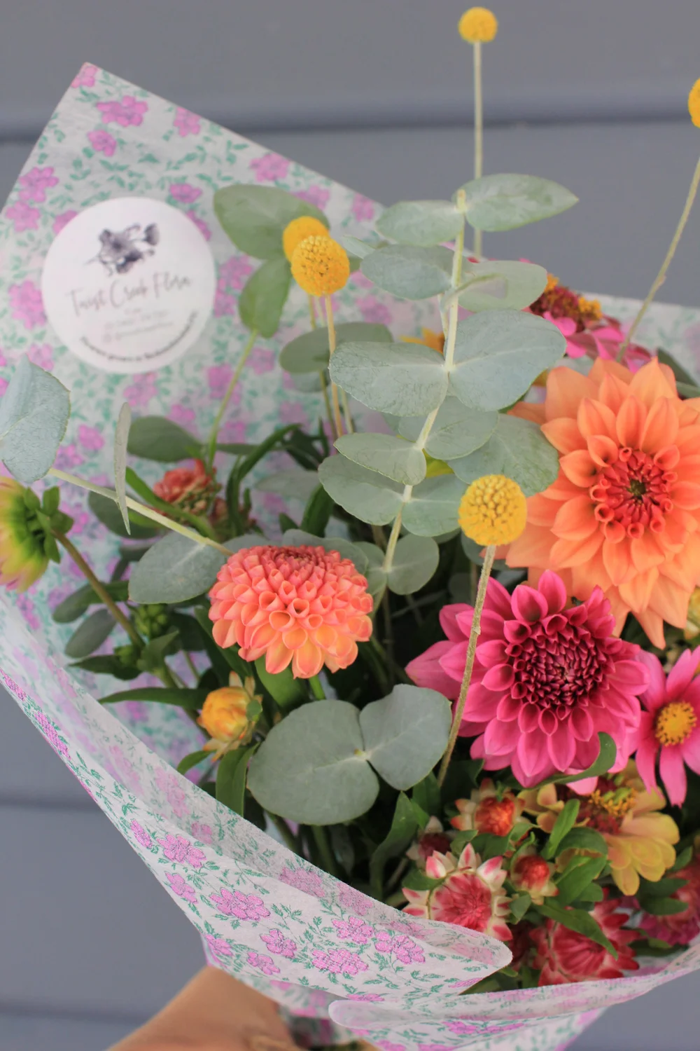 Shop | Fresh Blooms, Seeds, Chrysanthemum Plants, Dahlia Plants and ...