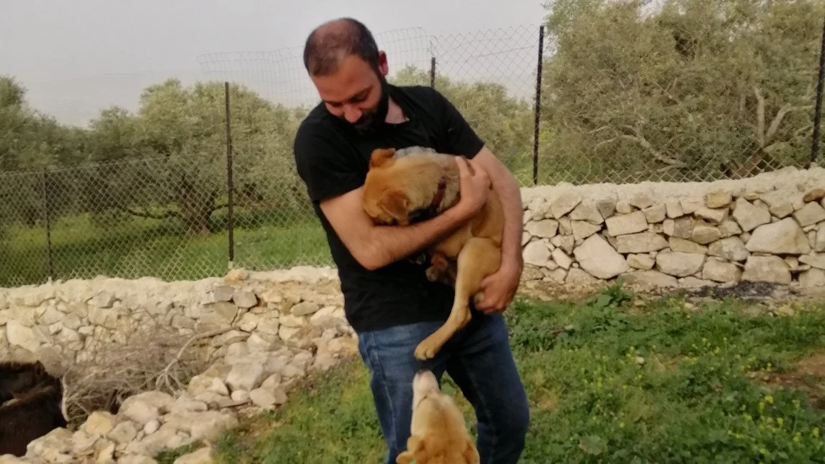 An Interview with Nada K: Empowering Animal Rights and Veganism in ...