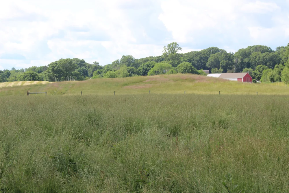 Events — Creamery Brook Bison