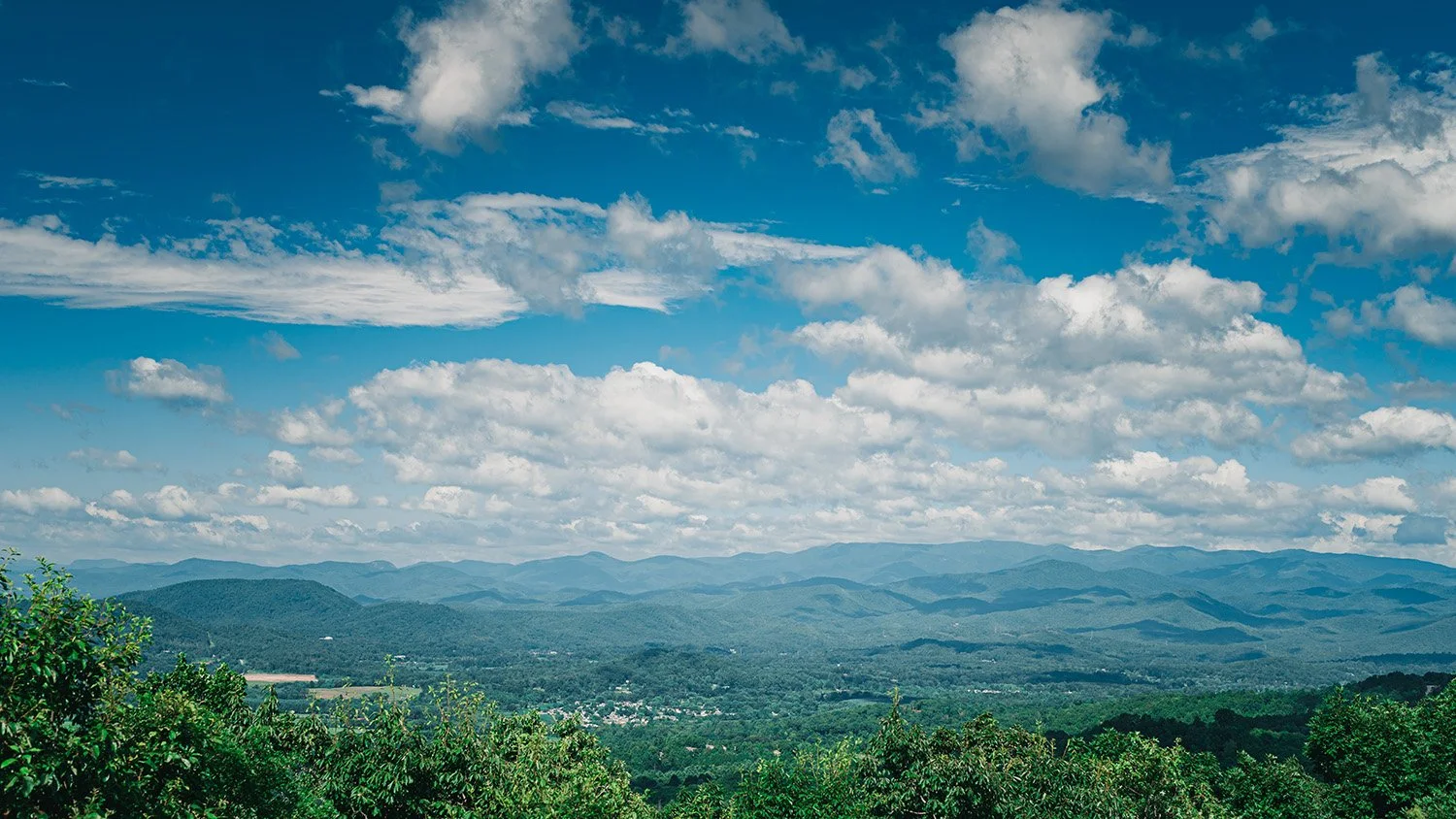 Meet Helen — Helen Pace Photography