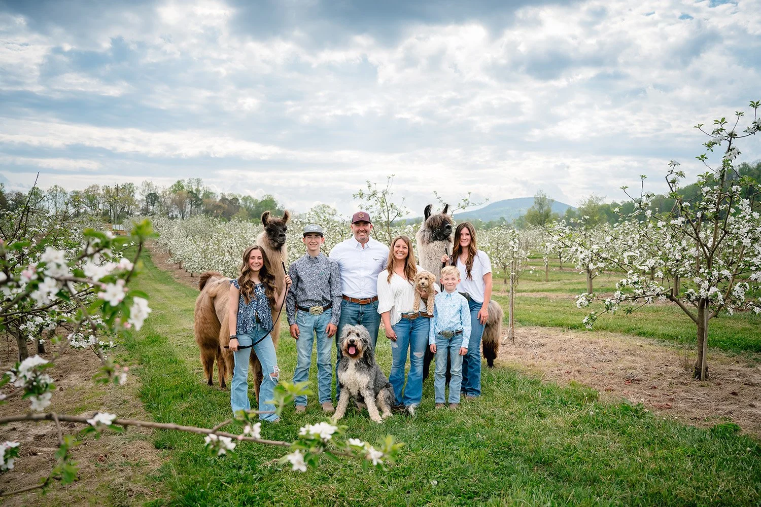 Helen Pace Photography