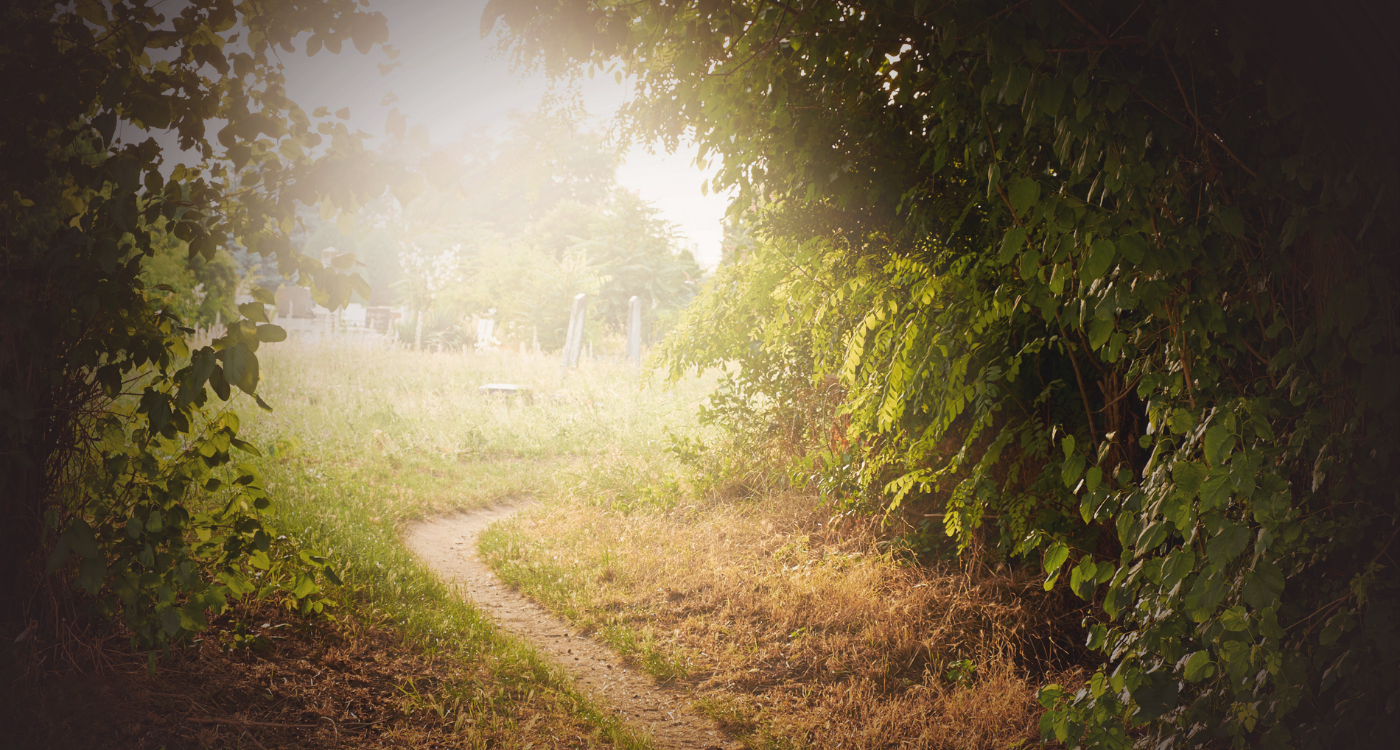 End-Of-Life Care — Beyond Legacy, Living Well Planning
