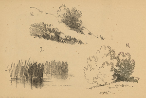 Master the Art of Drawing Leaves, Grass, Bushes and Shrubs: A Guide for Landscape Artists ...