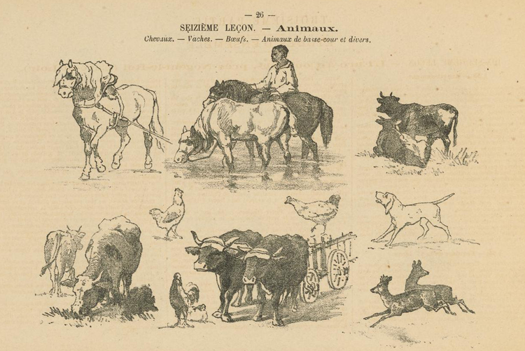 Mastering Landscape Drawing: A Complete Guide to Elevating Your Skills — Michael Magrin Fine Art