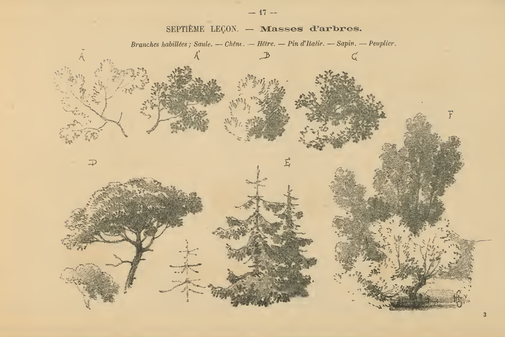 Mastering Landscape Drawing: A Complete Guide to Elevating Your Skills ...