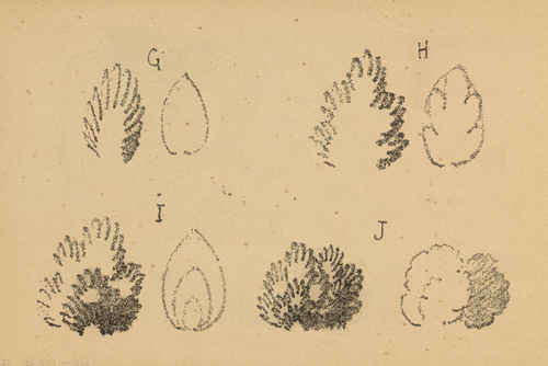 Master the Art of Drawing Leaves, Grass, Bushes and Shrubs: A Guide for ...
