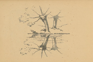 Water in Landscape Art: Mastering the Techniques to Draw Rivers, Lakes ...