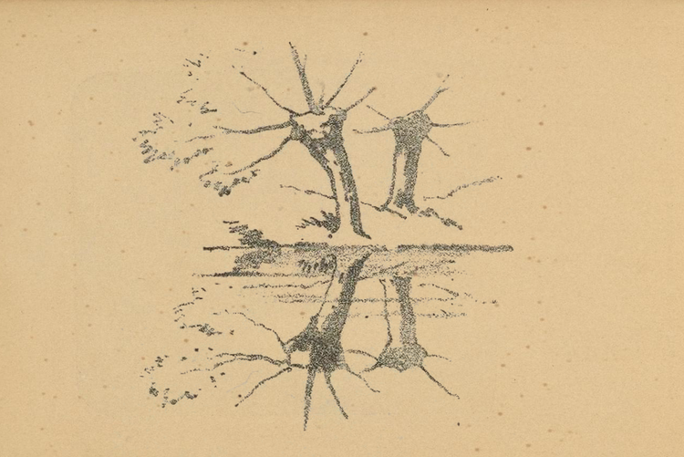 Water in Landscape Art: Mastering the Techniques to Draw Rivers, Lakes ...