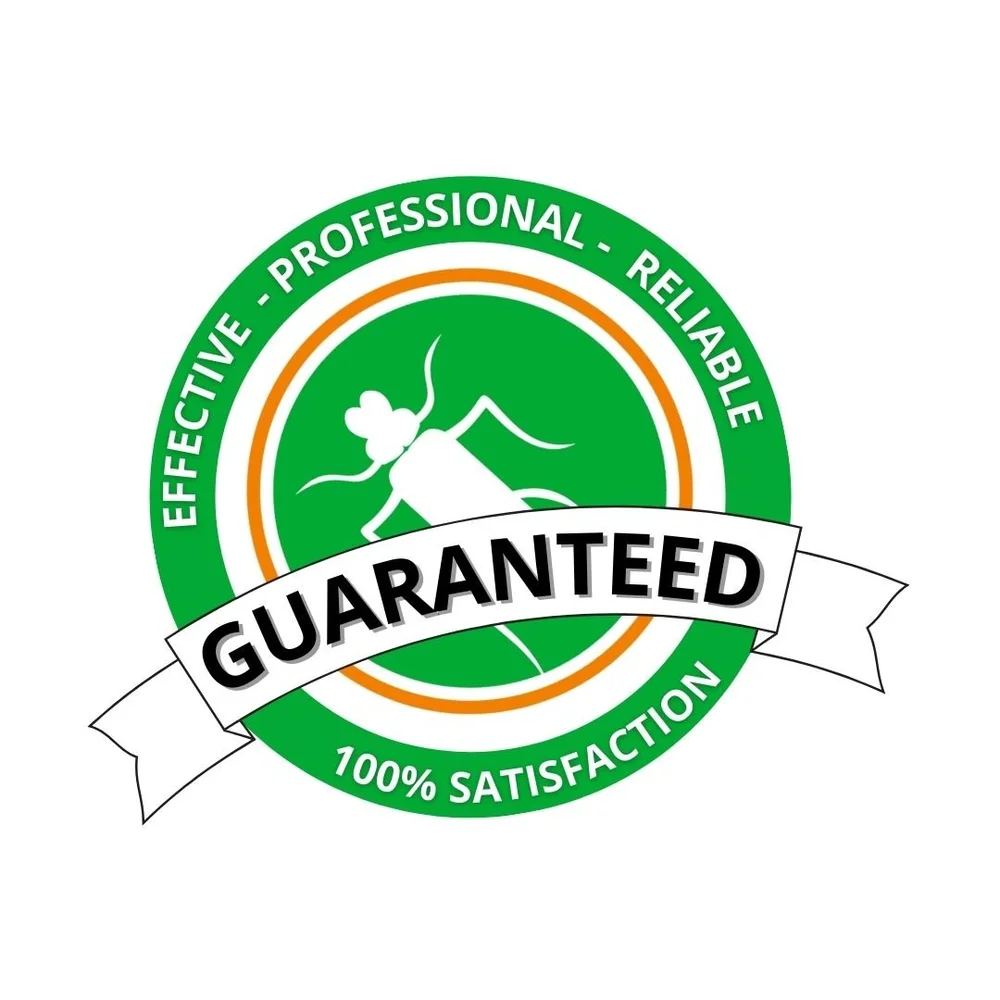 Pest Pro Solutions