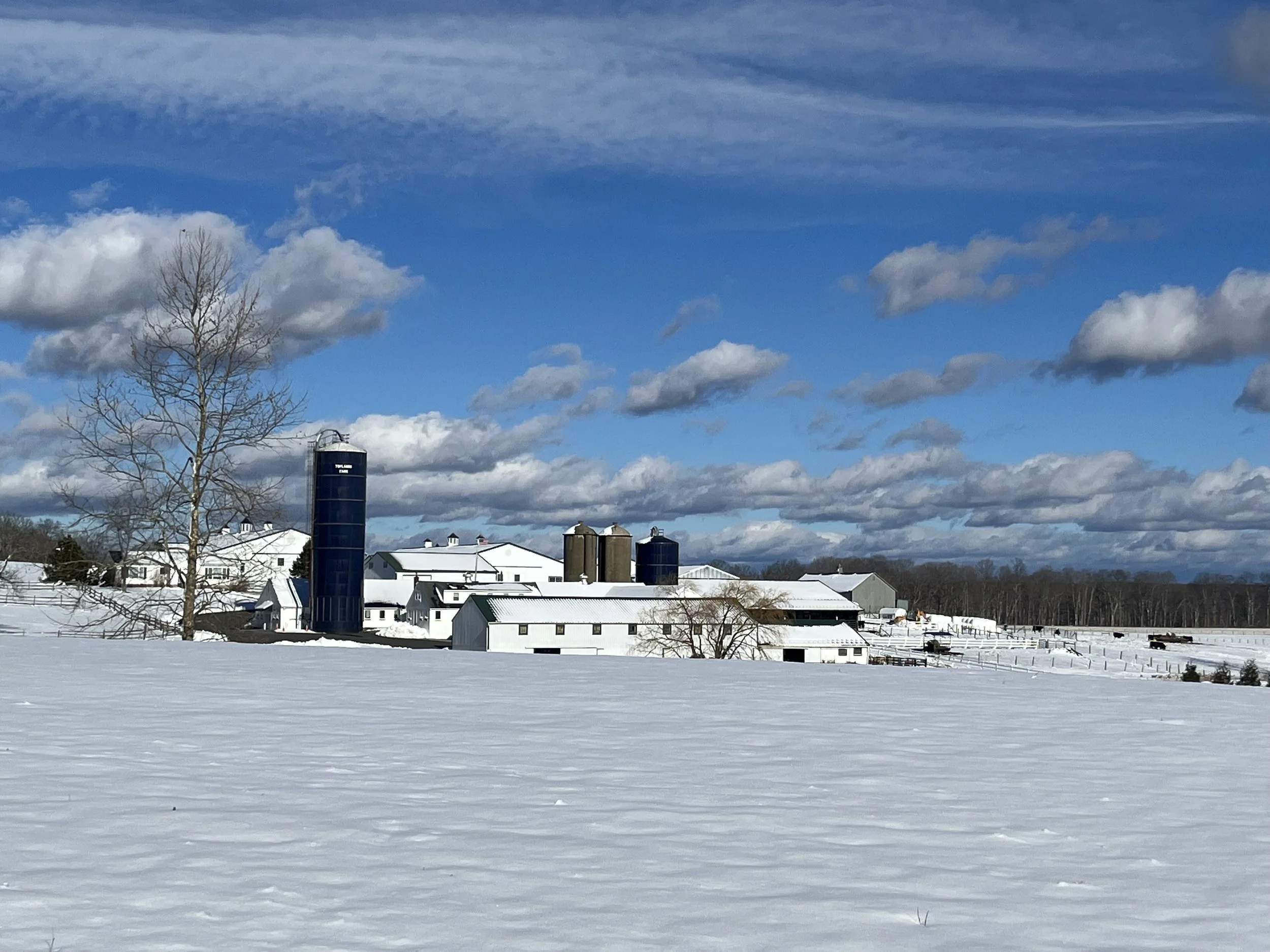 About | Roxbury, CT — Toplands Farm