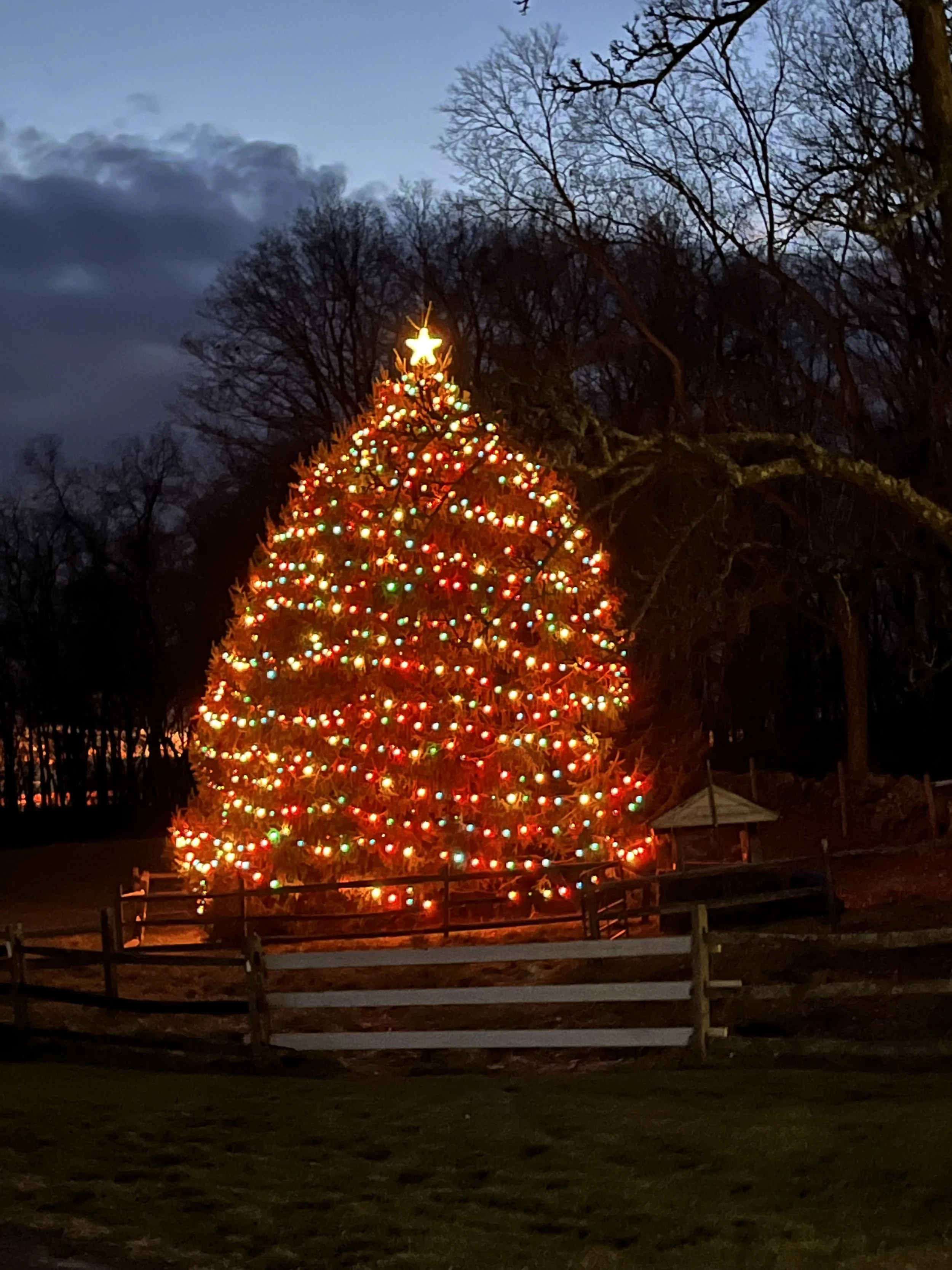 About | Roxbury, CT — Toplands Farm