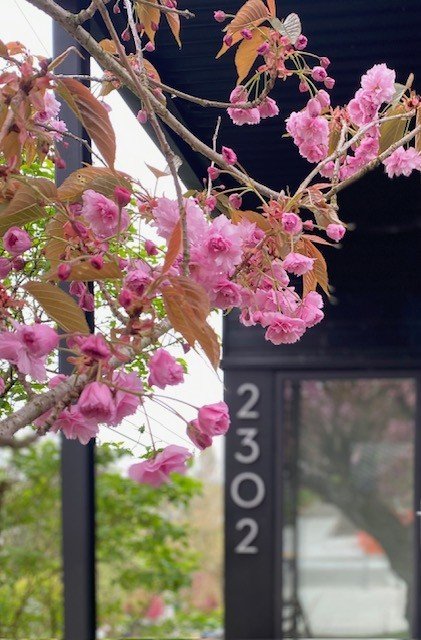 About — Lisa Sid.Design