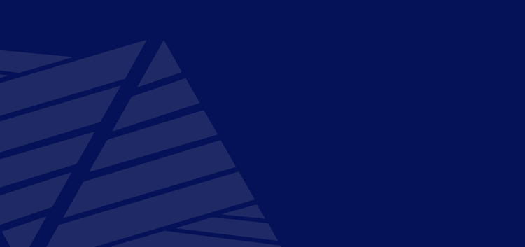 Vizard House — Vizard Foundation