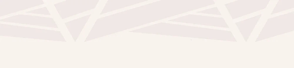 About Us — Vizard Foundation